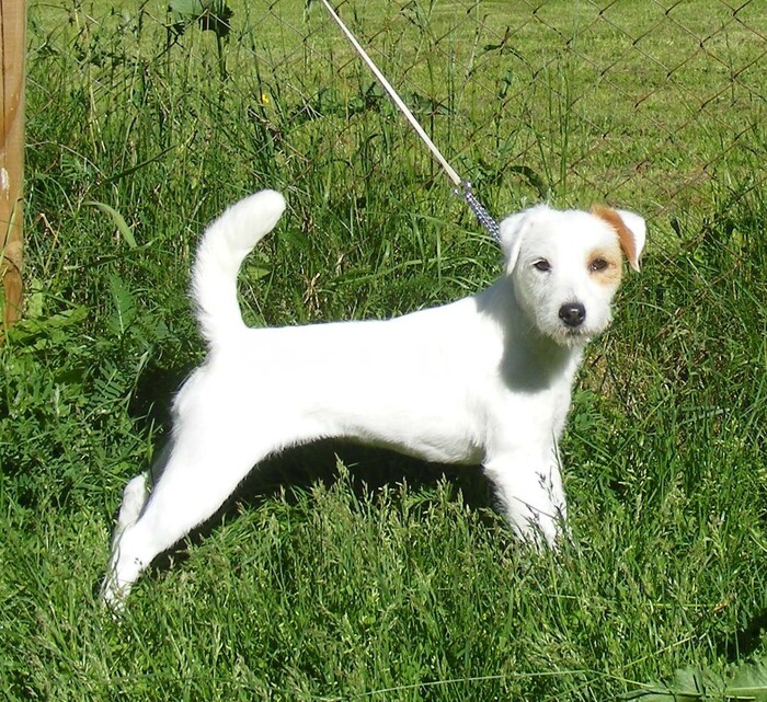 Mine Hunder :: Norparson.com